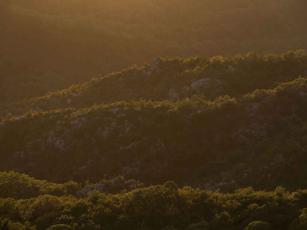 photo – 小田 雄大 ｜Yuta Oda