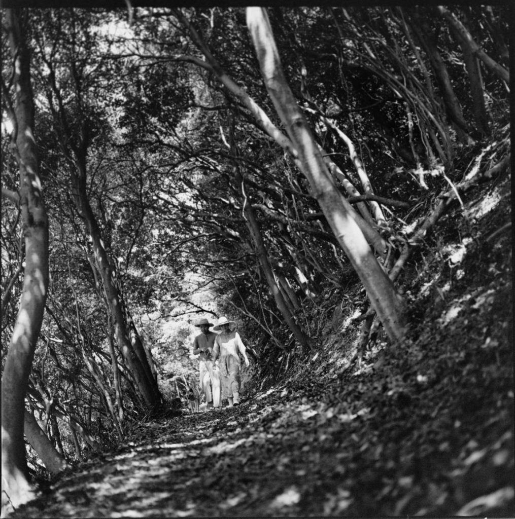 photo – 小田 雄大 ｜Yuta Oda